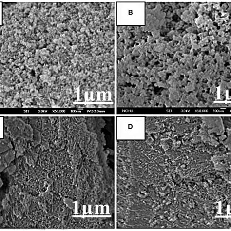 Ad 1 μm Sem Image Of Fe2o3 Nano Catalyst At Different Resolution