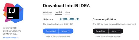 Intellij Idea Ide