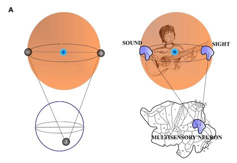 Aa Simplified Sketch Of The Borsuk Ulam Theorem Two Antipodal Points Download Scientific