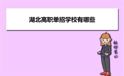 2024年湖北高职单招学校有哪些 附单招时间和报名流程 思而思学网