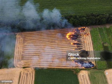 지푸라기 현장에서 화재 짚 잔류물 굽기 환경 대기 오염과 토지의 플롯 농업에 대한 스톡 사진 및 기타 이미지 농업 태우기