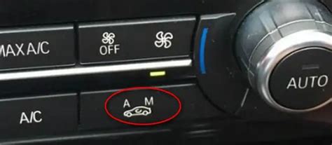Am