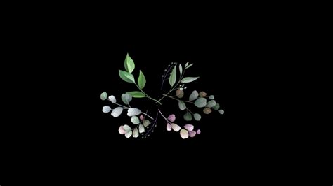 Beautiful Leaf Animation Loop Animation Stock Motion Graphics Sbv