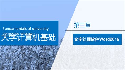 大学计算机基础Windows 10 Office 2016 第3章 文字处理软件Word2016 word文档在线阅读与下载 无忧文档