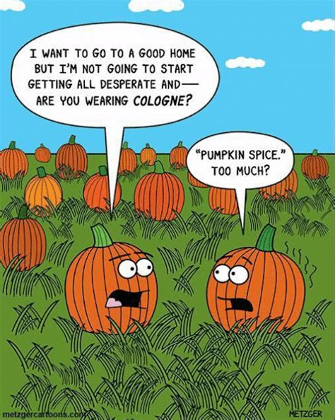 Two Pumpkins In A Field Humor Halloween Funny Pictures Pumpkin Humor