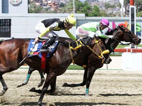 El Triunfo De Kamilo En La Zafra De Caracas