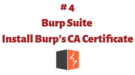 Guide For Burp Suite Security Cipher
