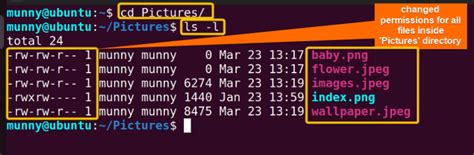 Ways To Change Folder Permissions Recursively In Linux