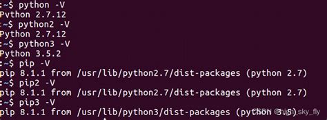 ubuntu16 04 pythone pip问题 正确安装pip与openpyxl ubuntu python 指定版本 pip