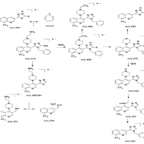 Mass Fragmentation Pattern Of Compound 4ek Download Scientific