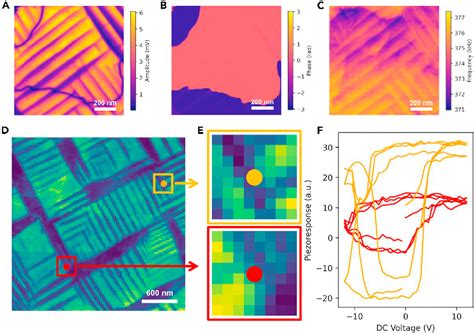 Figure 1 From Explainability And Human Intervention In Autonomous Scanning Probe Microscopy