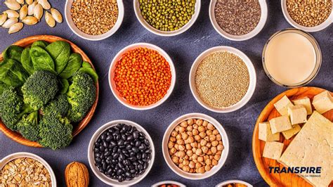 Fontes De Proteína Vegetal Transpire O Blog Da Treinus