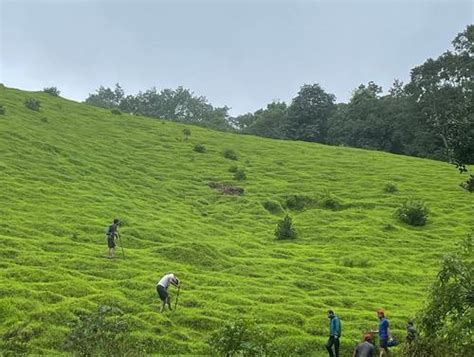 Netravathi Netravathi