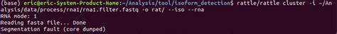 Segmentation Fault Core Dumped · Issue 26 · Comprnarattle · Github