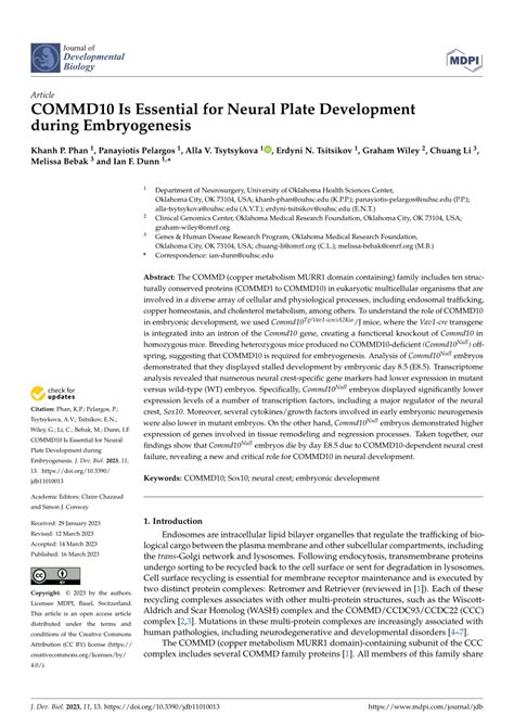 Pdf Commd10 Is Essential For Neural Plate Development During