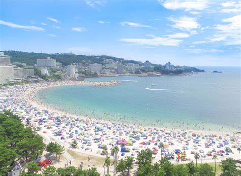 和歌山県白浜町 まちから探すふるラボ