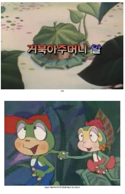 거북 아주머니가 지키려던 알의 정체 미스터리 공포 에펨코리아