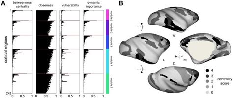 A Regional Scores For Node Betweenness Closeness Vulnerability And