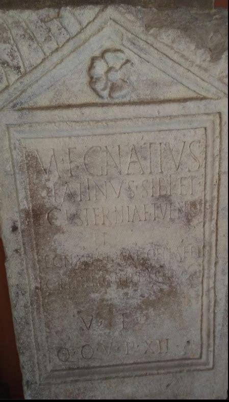 Ura E Polisit Elbasani