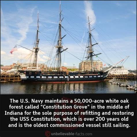 4m Root Cause Analysis Meckenzienhuffmen