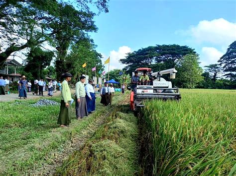 ပုသိမ်ခရိုင် အုပ်ချုပ်ရေးမှူးနှင့်အဖွဲ့ သာပေါင်းမြို့နယ်၊ ငါးဘတ်ချောင်း
