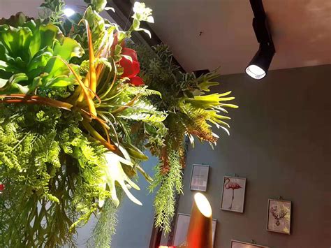 内衣店 进门右手橱窗 素悉美学空间2 站酷ZCOOL