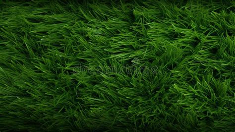Green Grass Textured Background Ai Generated Stock Illustration Illustration Of Green