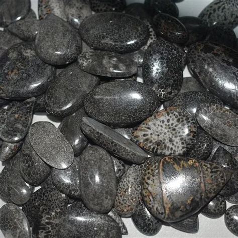 Black Fossil Coral Gemstone At ₹ 15 Gram Fossil Gemstone In Jaipur