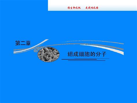 人教版教学课件人教生物必修一第二章复习课件word文档在线阅读与下载无忧文档