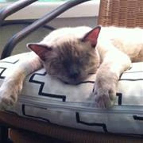 Stream Chris Cloninger Music Listen To Songs Albums Playlists For