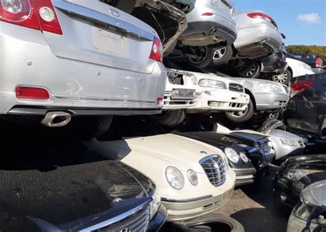 정부 지정 폐차장