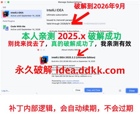 Idea 2025 1 破解教程：完美激活 补丁下载，永久激活指南