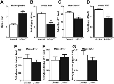 G6pc Deficiency In Mice Increases Plasma Retinol And Reduces Hepatic