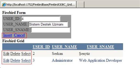 Firebird SQL Firebird ODBC Visual Studio NET Dataset Object Connection