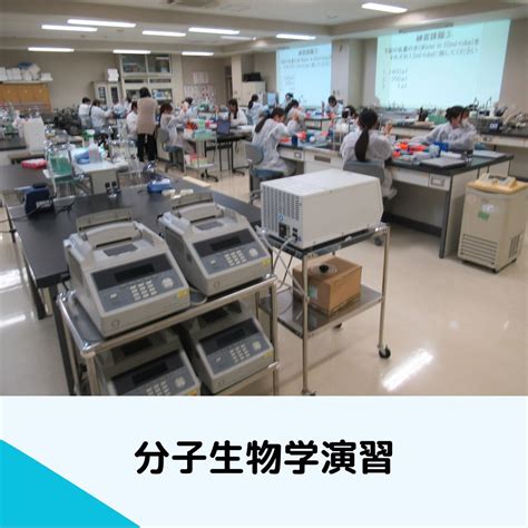 沖縄県立看護大学 広報 分子生物学演習 看護学部1年生の科目「人体の構造と機能演習Ⅰ」での分子生物学演習の様子です この演習ではdnaを