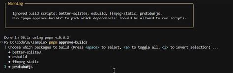 以代码运行 Ppagent 文档