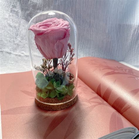 Forever Rose Glass Dome Preserved Flower Box With Dried Flower Etsy