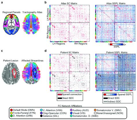 Structural Disconnection Data A The Regional Parcels And Download Scientific Diagram