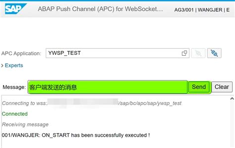 使用 Abap 实现 Web Socket 编程 服务器端部分的实现 待注销 Segmentfault 思否