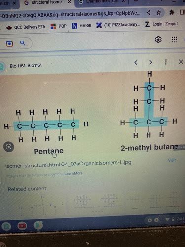Organic Chemistry Flashcards Quizlet
