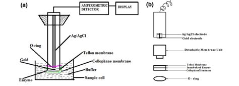 A Biosensor Configuration B Detachable Membrane Unit Download