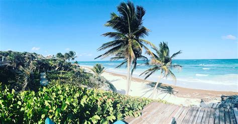 Papaya Playa Project Bewertungen Fotos And Preisvergleich Tulum