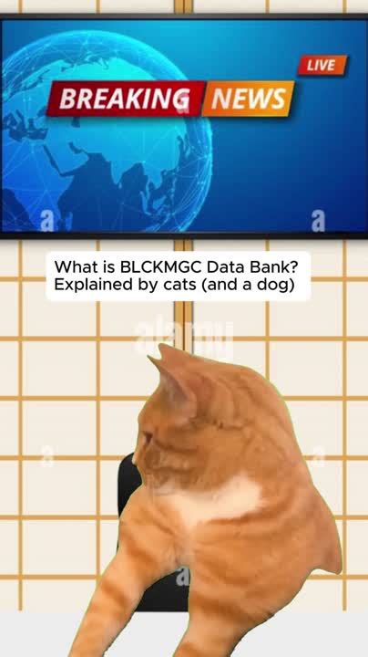 [video] constantine shulyak on linkedin databank aidatabank blckmgc