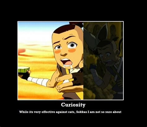 Funny Sokka Quotes Quotesgram