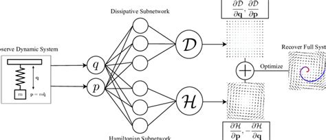 Visualizing The Architecture Of A Dissipative Hamiltonian Neural
