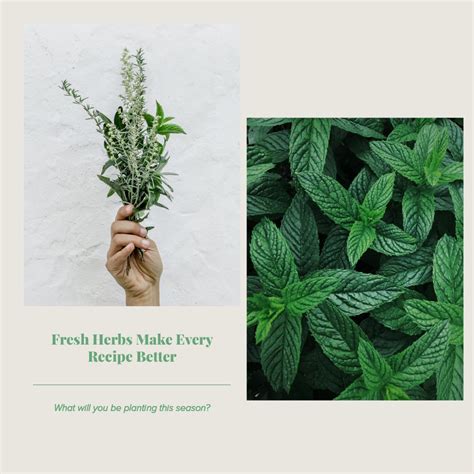 Jill Blank Realtor Chesapeake Va