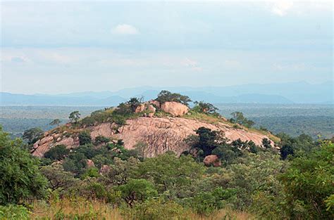 Kruger Park Numbi Gate Game Drive Safari In South West Kruger