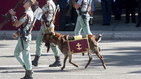 Cuatro letras a Pacoli cabra de la Legión