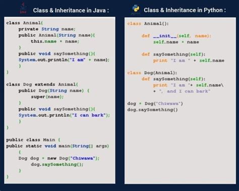 Java Vs Python Key Differences And Performance The Iso Zone