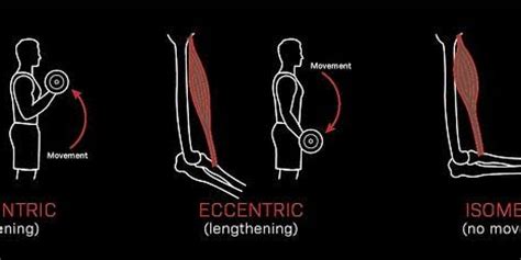 Concentric Vs Eccentric Whats The Difference Fastfit™